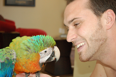 A Parrot’s Way Of Communicating With Humans