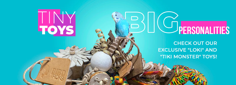 BirdTricks | Parrot Training, Taming & Care