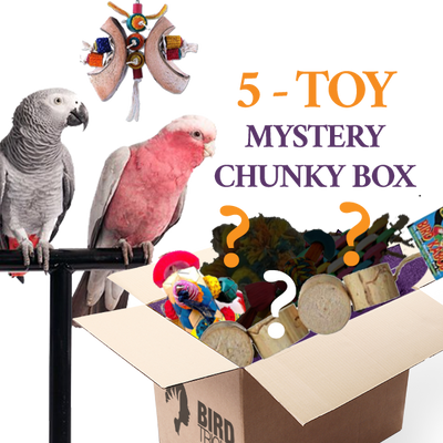 Bird Toy Boxes